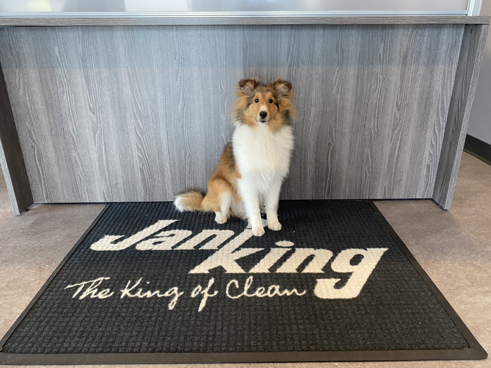 Keeping Your Facility Free of Salt and Sand During Winter - Jani-King